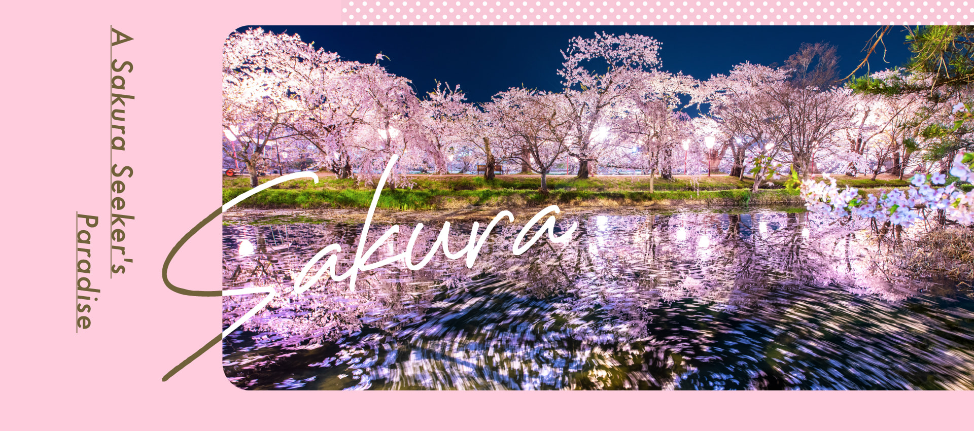 A Sakura Seeker's Paradise | JR-EAST